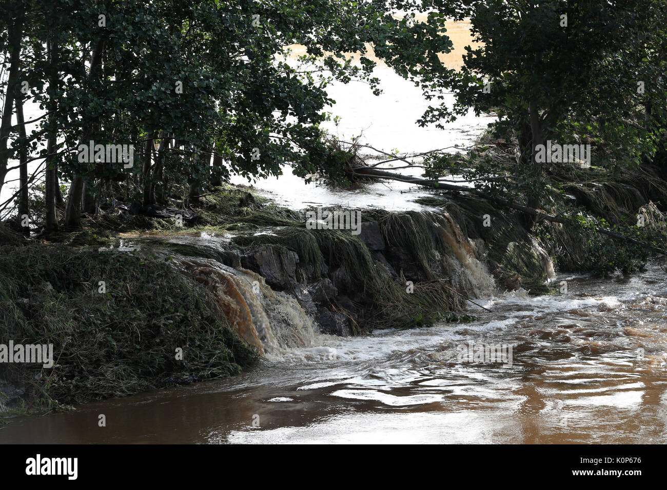 Dennet hi-res stock photography and images - Alamy