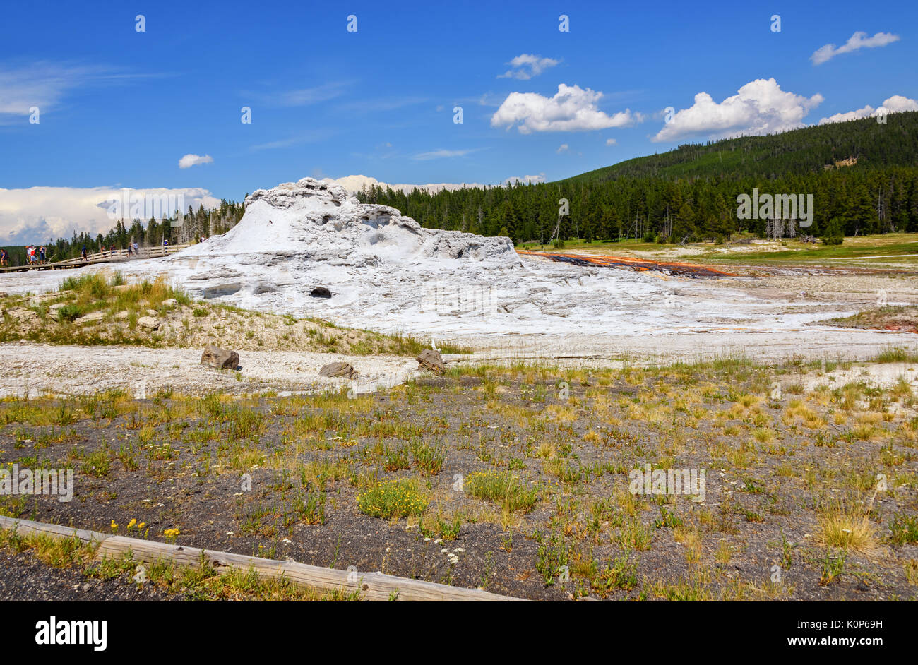 Castle Geyser, in Yellowstone National Park. Upper Geyser Basin Stock ...