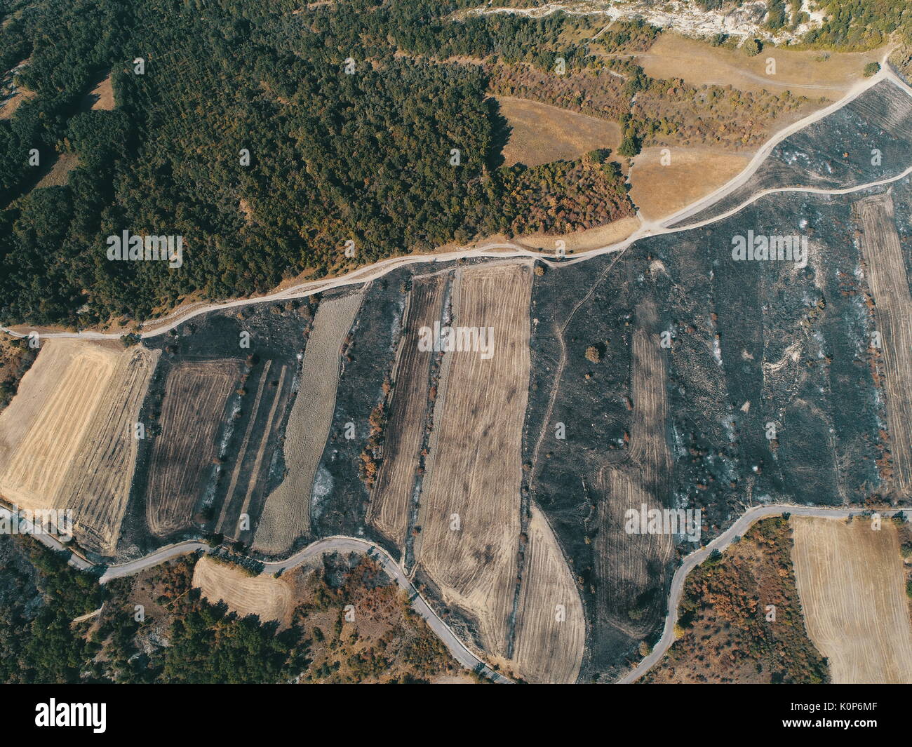 Arson:,Burnt ground due to forest fire damage, Burnt field in Reggio ...