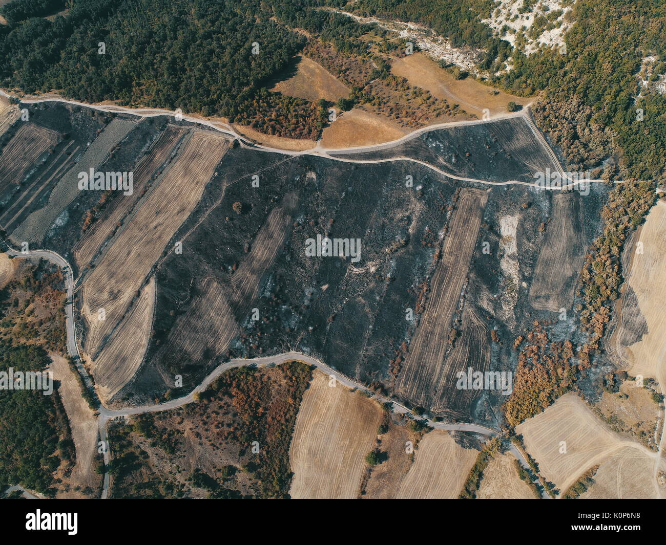 Arson:,Burnt ground due to forest fire damage, Burnt field in Reggio ...
