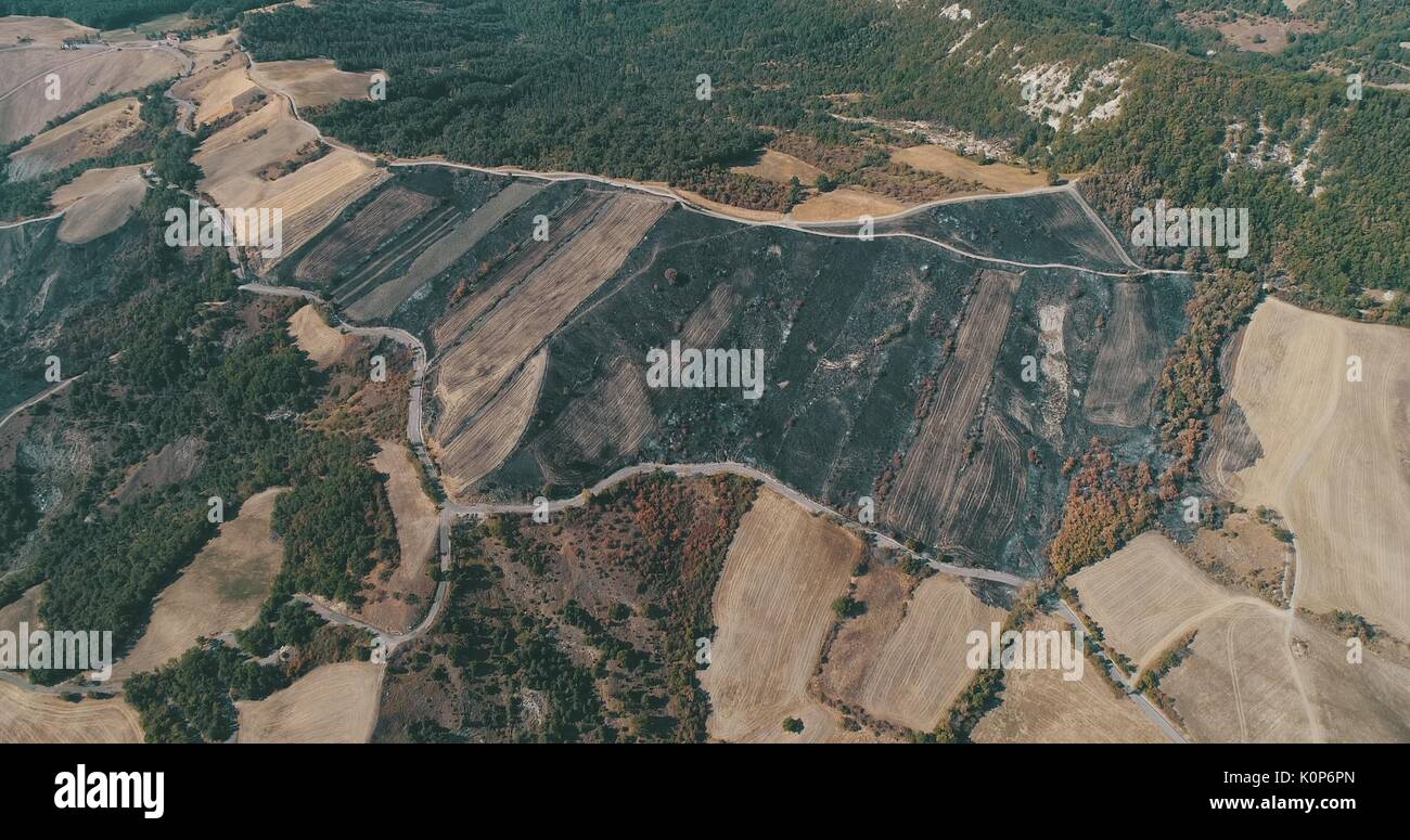Arson:,Burnt ground due to forest fire damage, Burnt field in Reggio ...