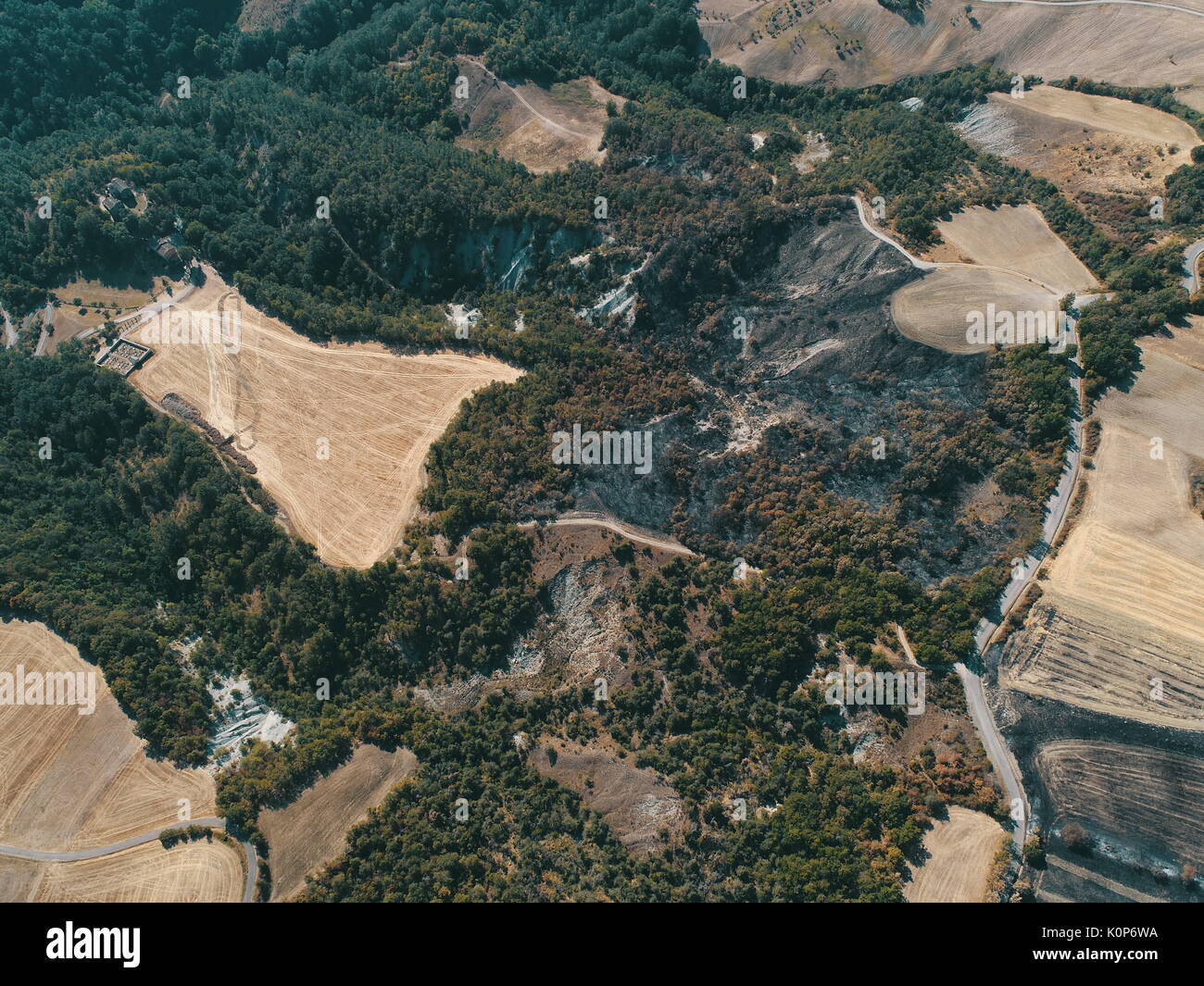 Arson:,Burnt ground due to forest fire damage, Burnt field in Reggio ...