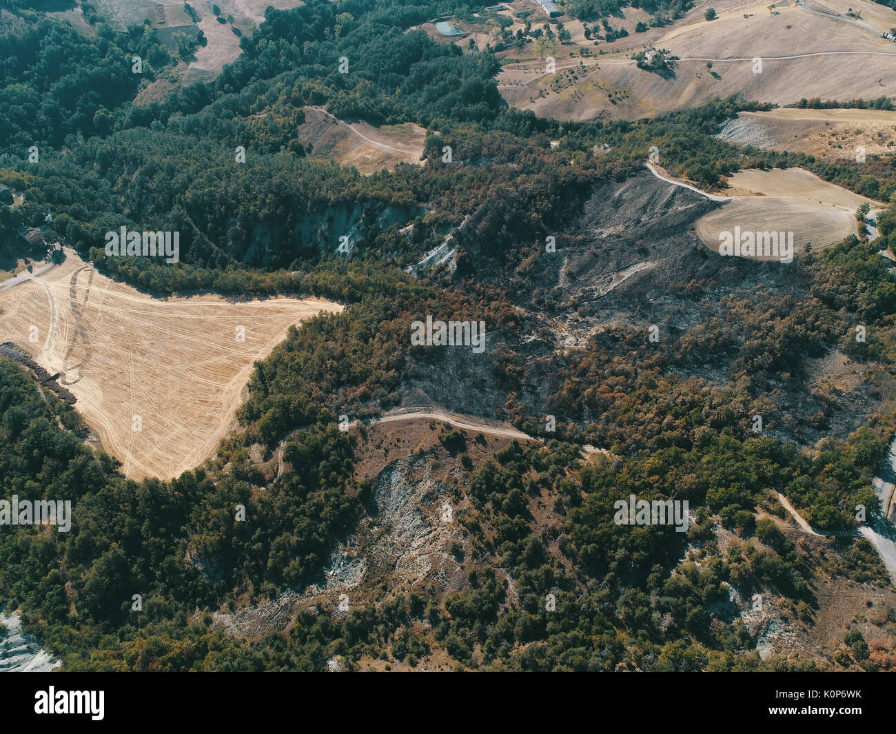 Arson:,Burnt ground due to forest fire damage, Burnt field in Reggio ...