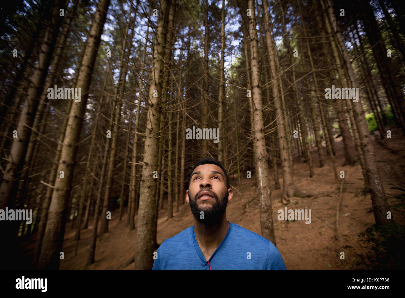 Young man looking up while standing amidst trees in forest Stock Photo ...