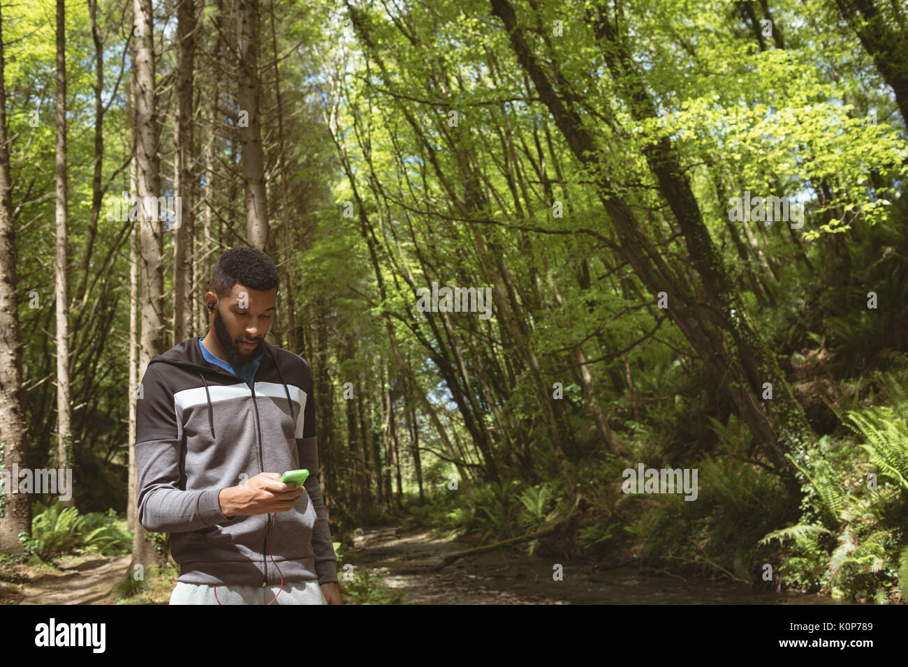 Man standing amidst trees hi-res stock photography and images - Alamy