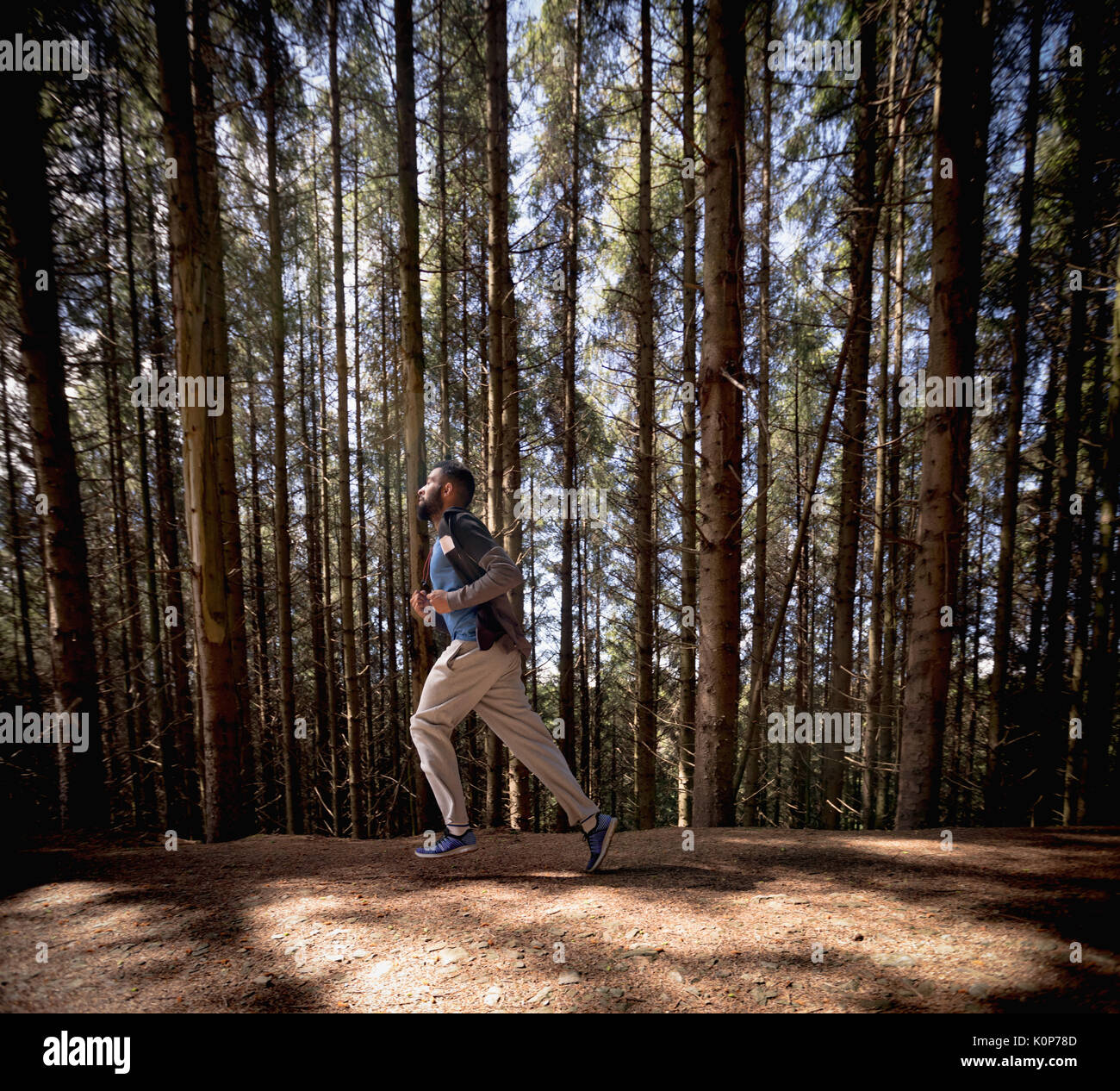 Shadow man holding tree trunk hi-res stock photography and images - Alamy