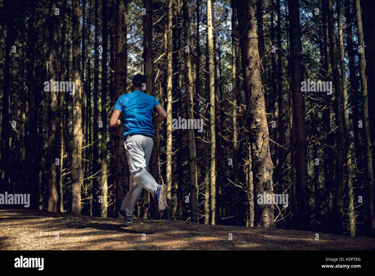 Rear view of young man running on road by trees in forest Stock Photo ...