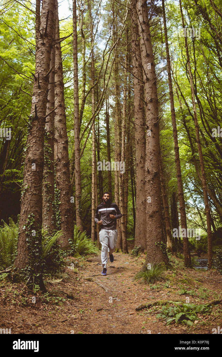 Full length of young male running amidst trees in forest Stock Photo ...