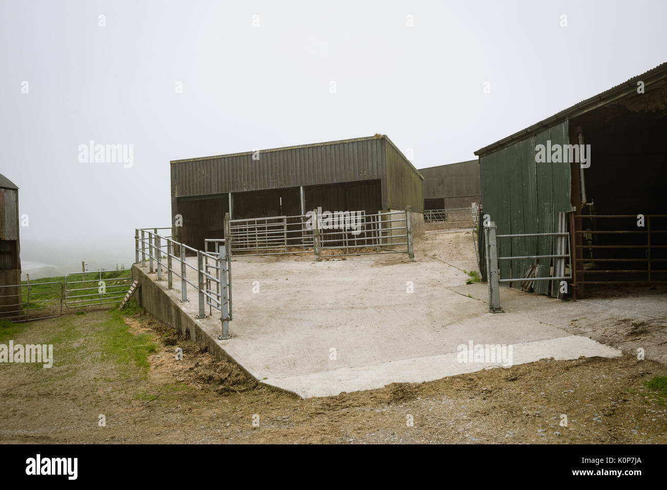 View of empty barn during morning Stock Photo - Alamy