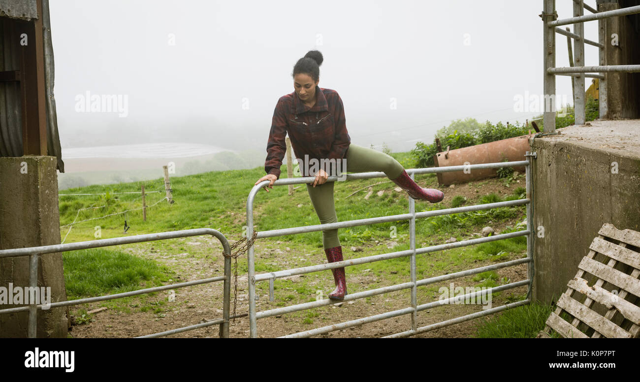 Crossing gate hi-res stock photography and images - Alamy