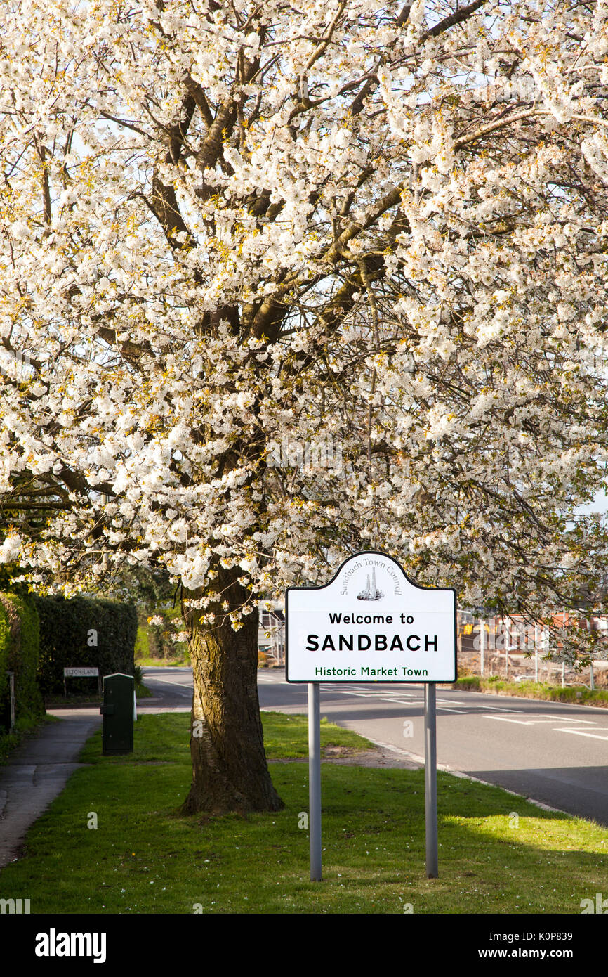 Welcome to sandbach hi-res stock photography and images - Alamy