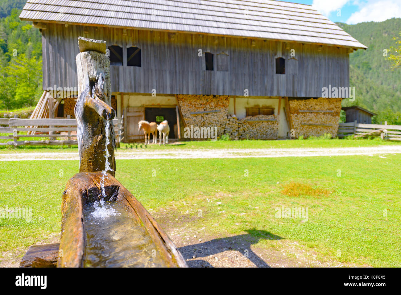 Wooden water trough hi-res stock photography and images - Alamy