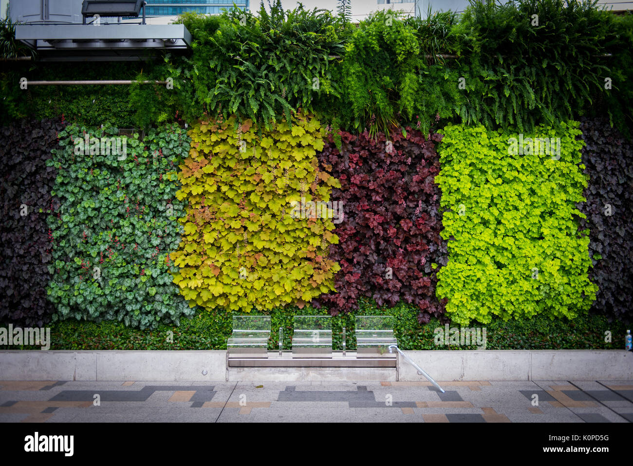 Covered in vegetation hi-res stock photography and images - Alamy