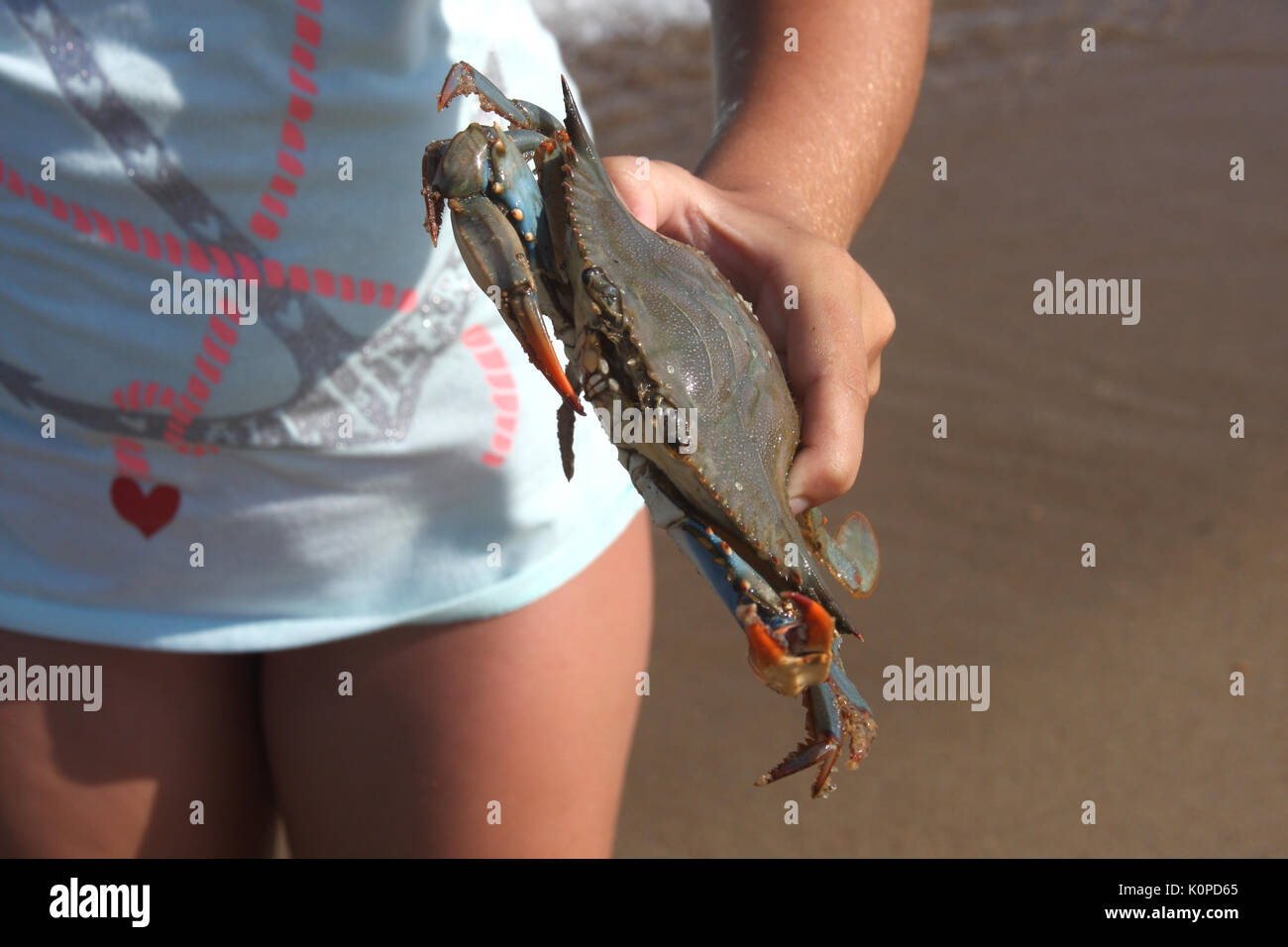 Girl holding crab hi-res stock photography and images - Alamy
