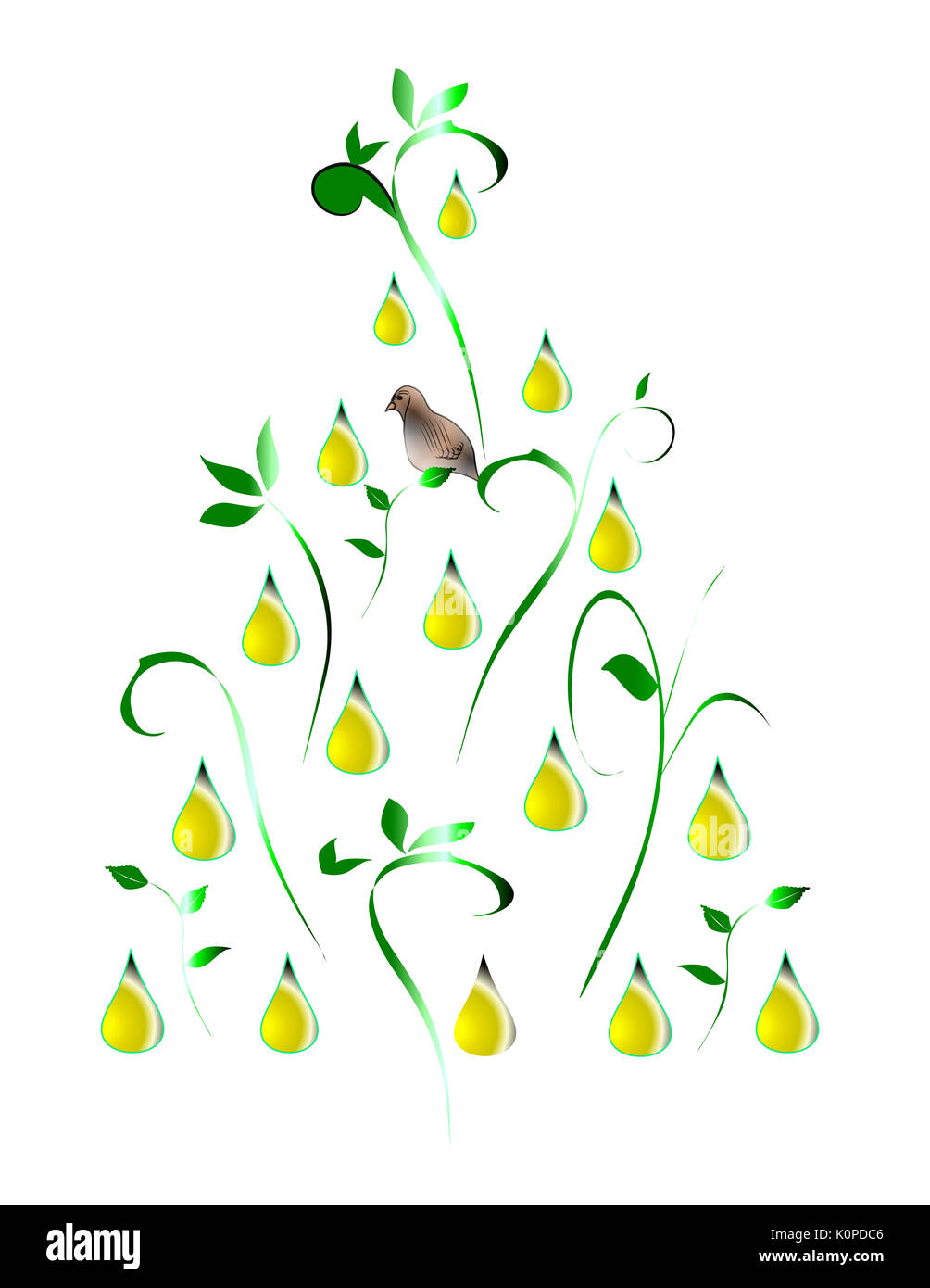 Partridge pear tree hi-res stock photography and images - Alamy