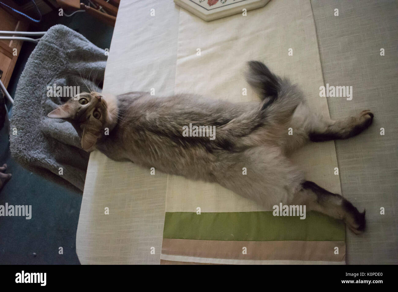 Prone on the table hi-res stock photography and images - Alamy
