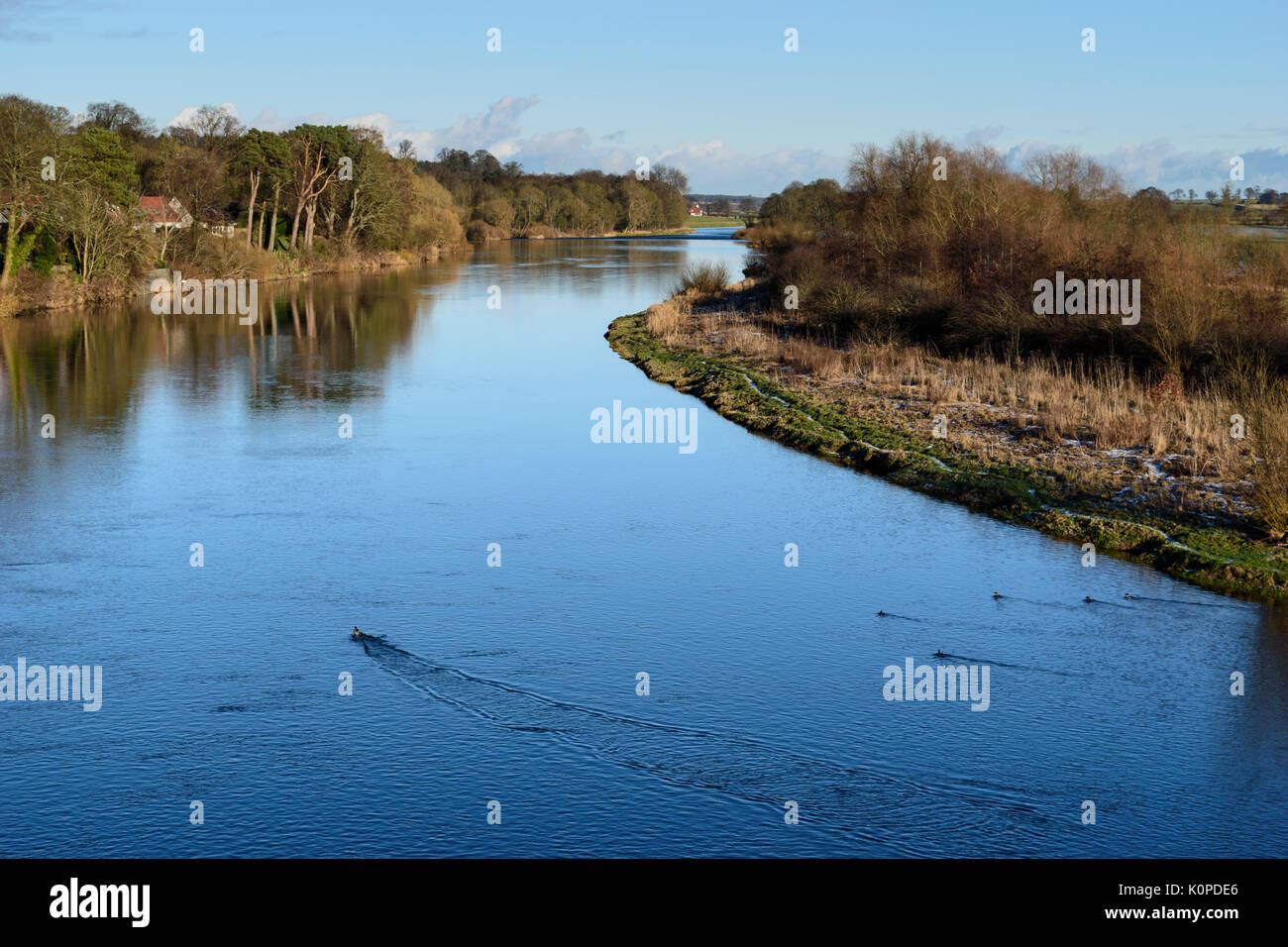 Kelso, Scotland - River Tweed Stock Photo - Alamy