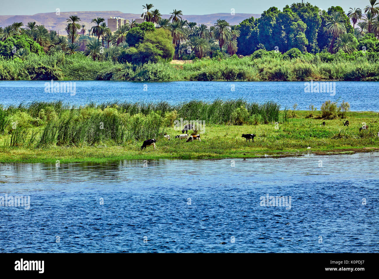 River Nile in Egypt. beautiful landscape Stock Photo - Alamy