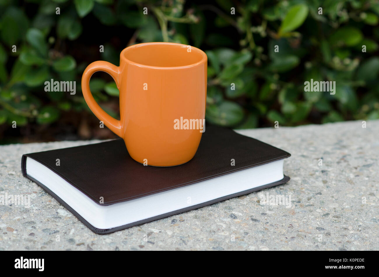 Bible year hi-res stock photography and images - Alamy