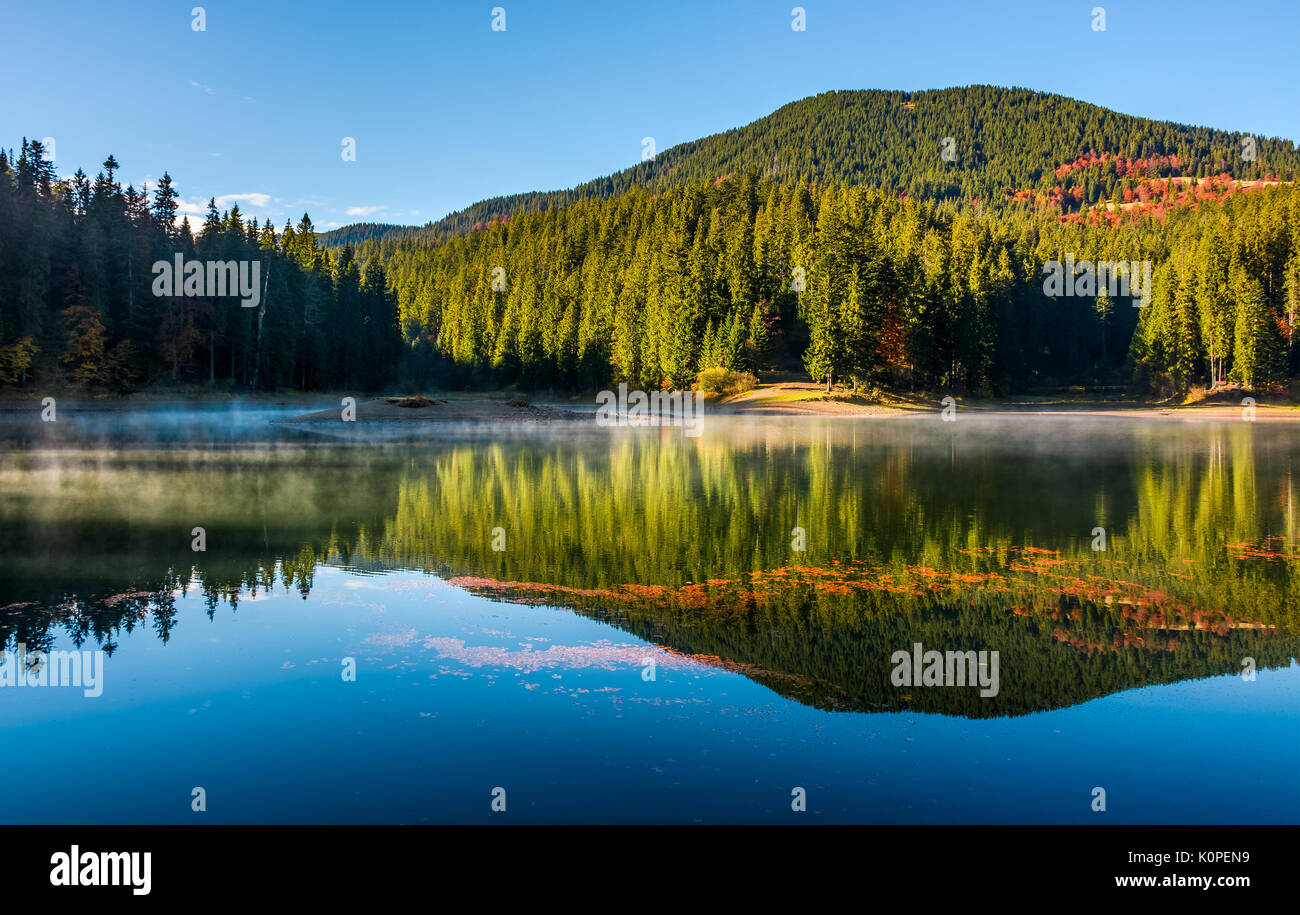 smokey lake reflect forest mountain and blue sky. orange foliage float ...