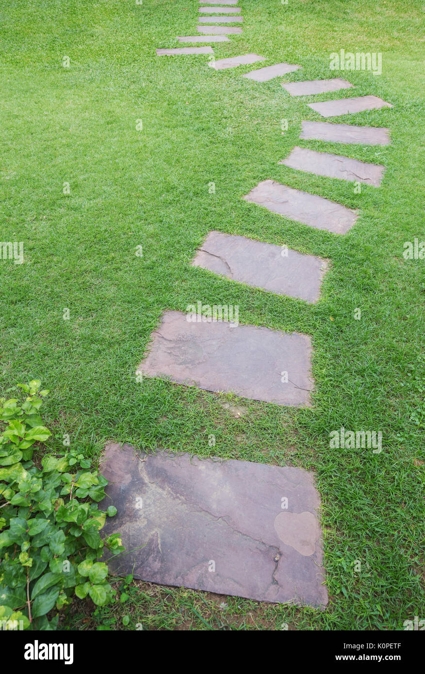 stone walk way between grass in the garden Stock Photo - Alamy