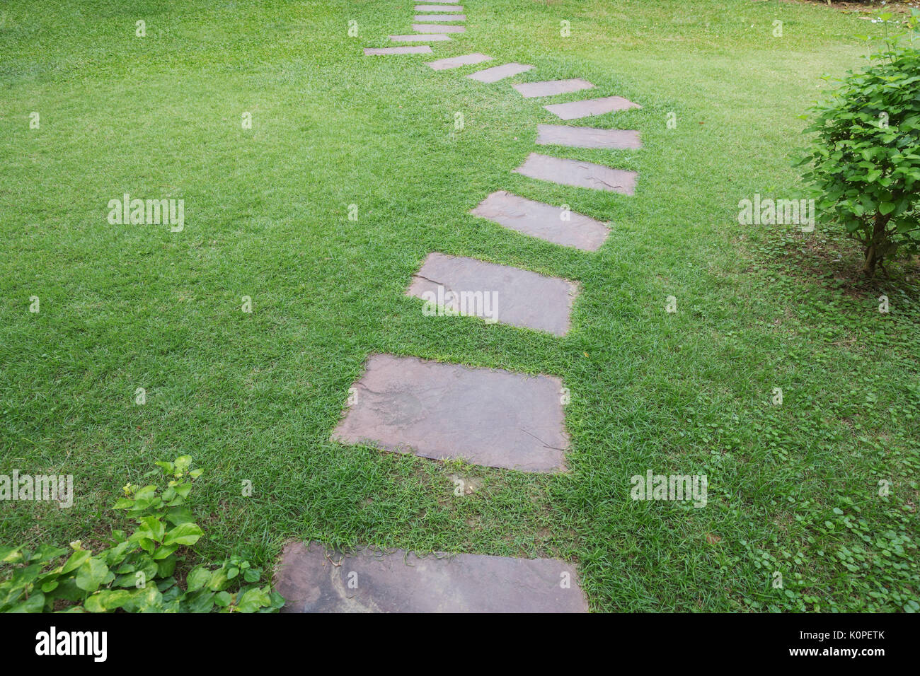 stone walk way between grass in the garden Stock Photo - Alamy