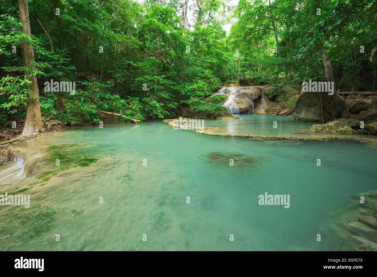 Level 1 of Erawan Waterfall with Neolissochilus stracheyi fish in ...