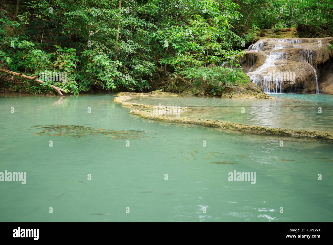 Level 1 of Erawan Waterfall with Neolissochilus stracheyi fish in ...