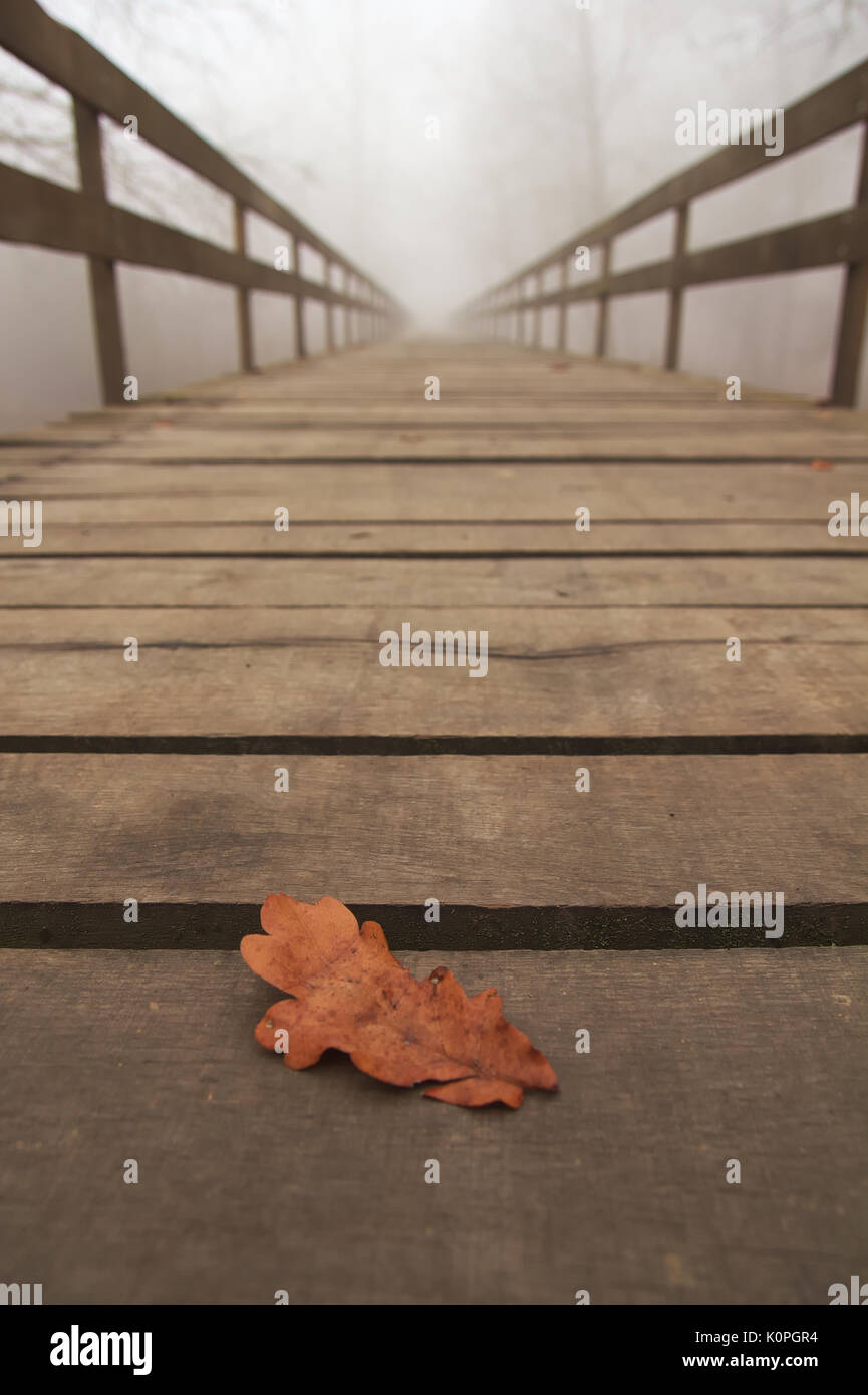 Leaf on wooden bridge Stock Photo - Alamy