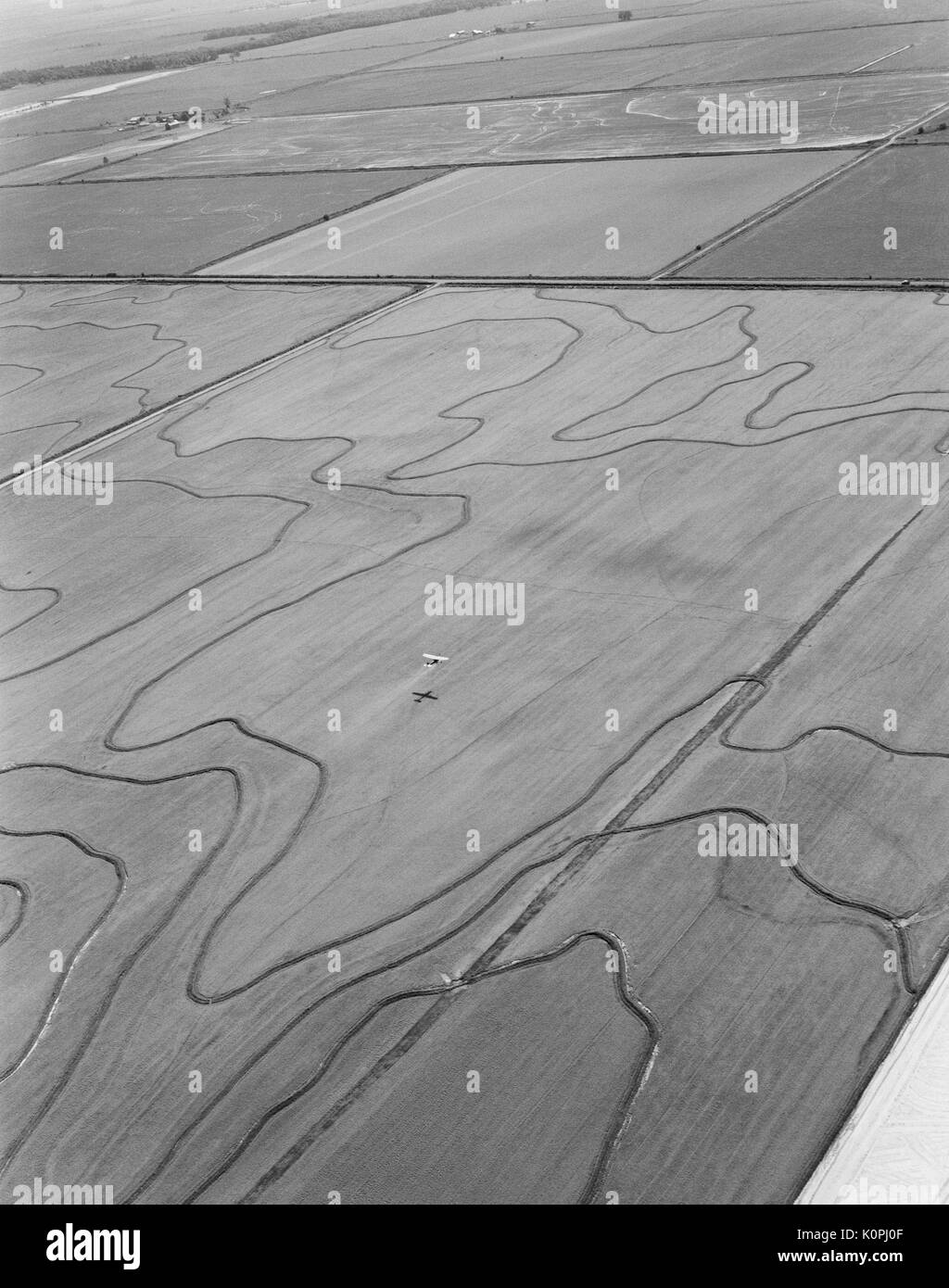 LOW LEVEL SPRAYING RICE FIELDS WITH STINSON L-5, YELLOW WINGS BLUE BODY ...