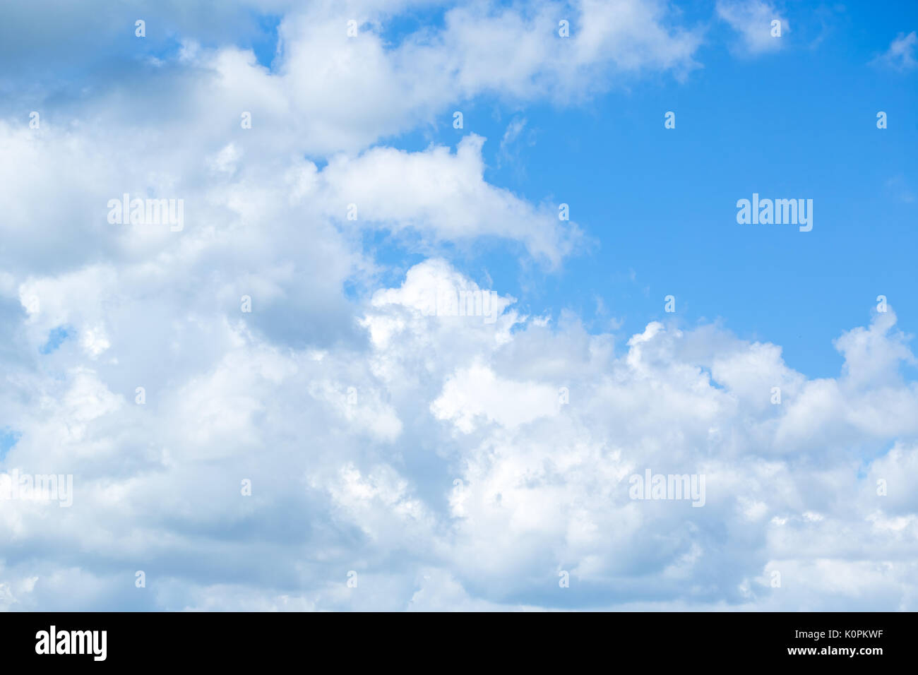 White fluffy beauty nature hi-res stock photography and images - Alamy