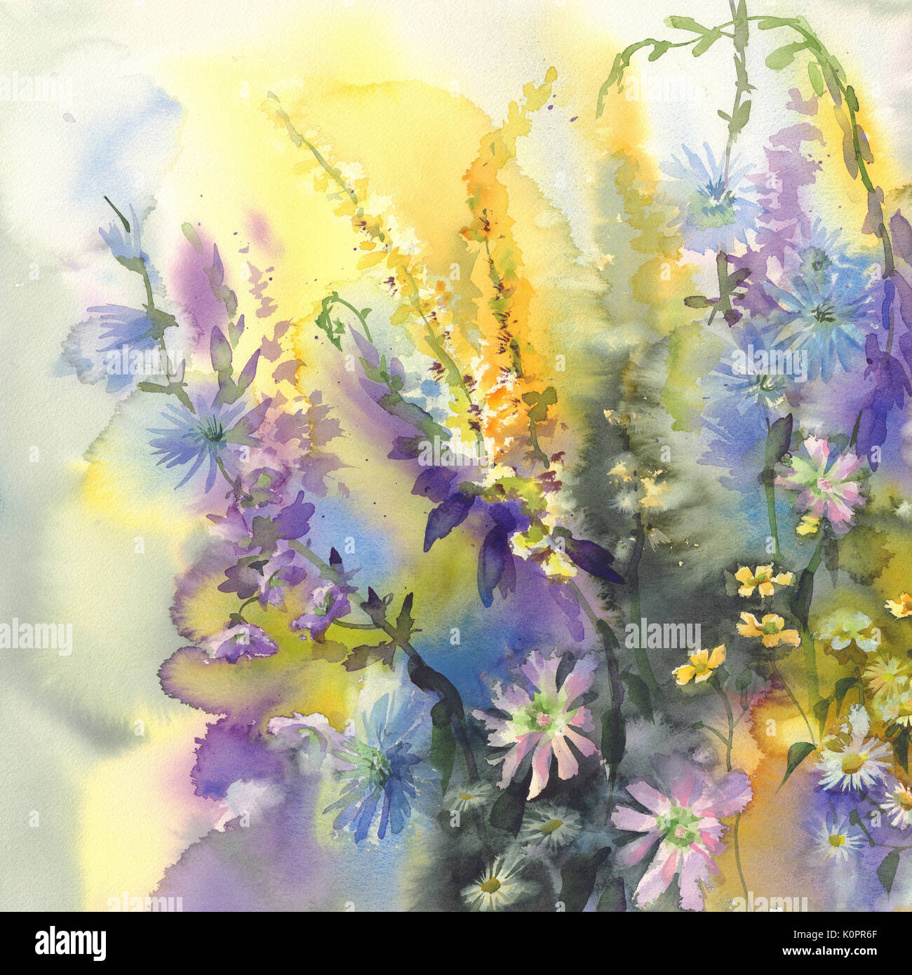 summer flowers watercolor background Stock Photo - Alamy