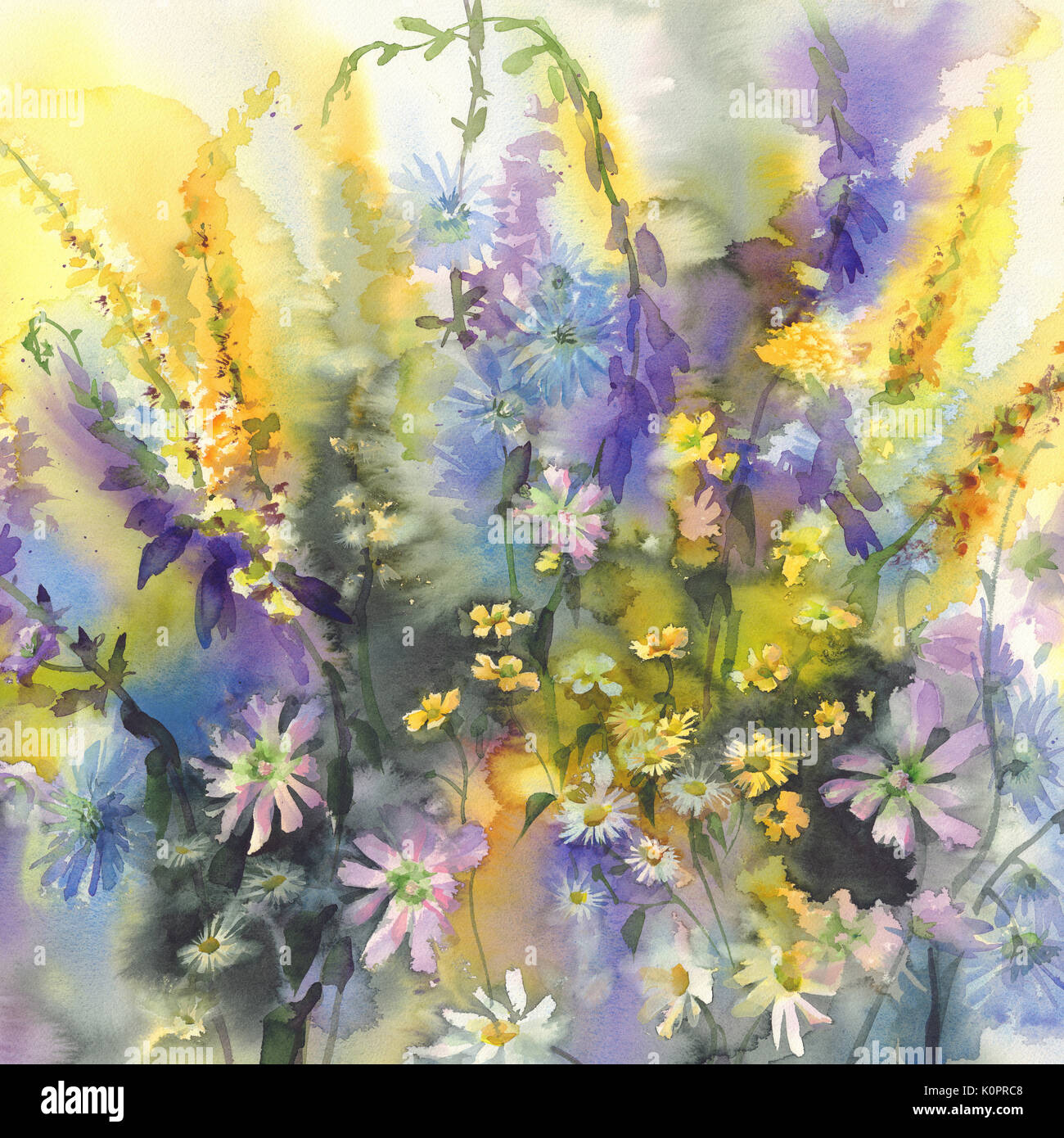 summer flowers watercolor background Stock Photo - Alamy