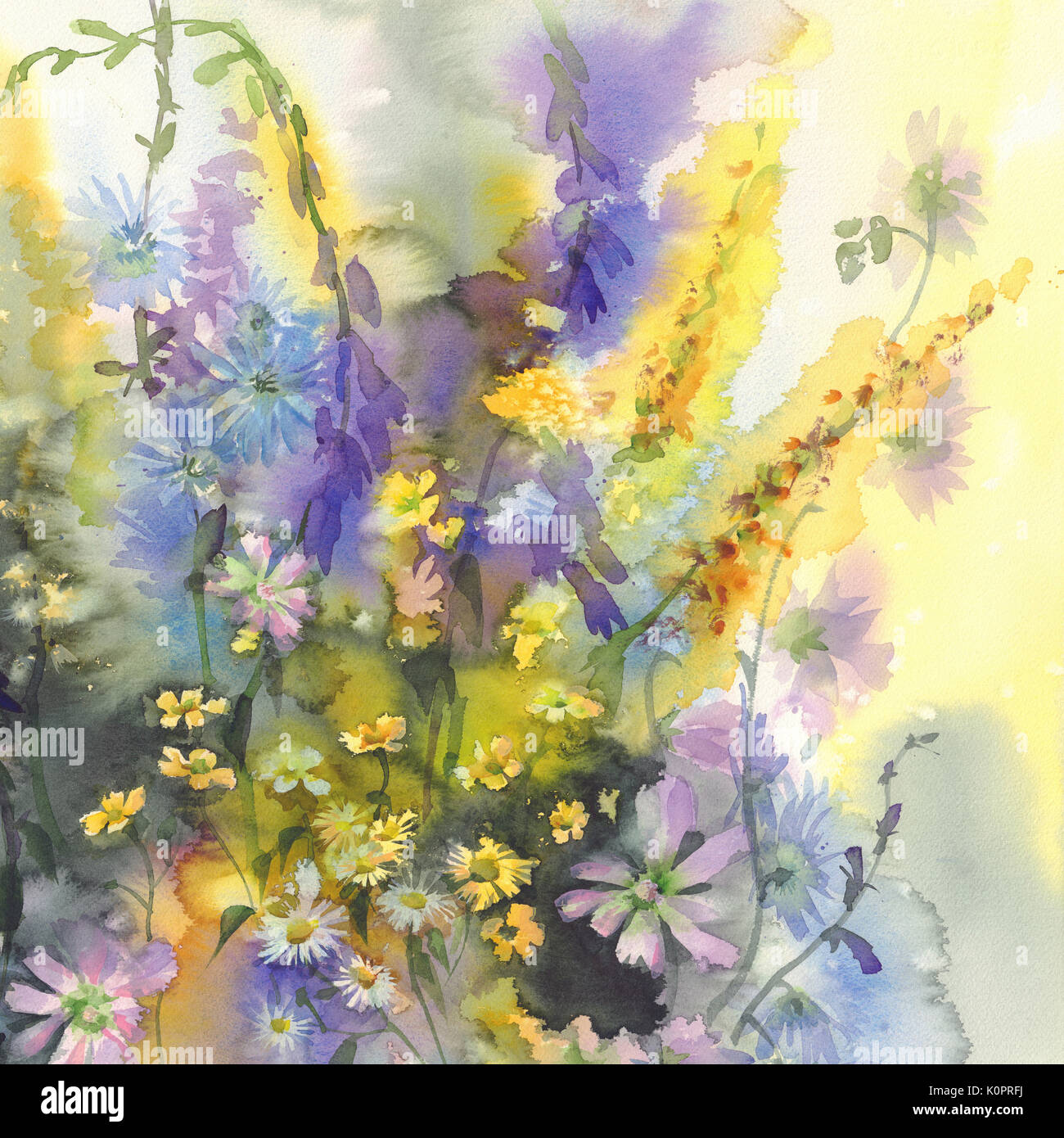 summer flowers watercolor background Stock Photo - Alamy