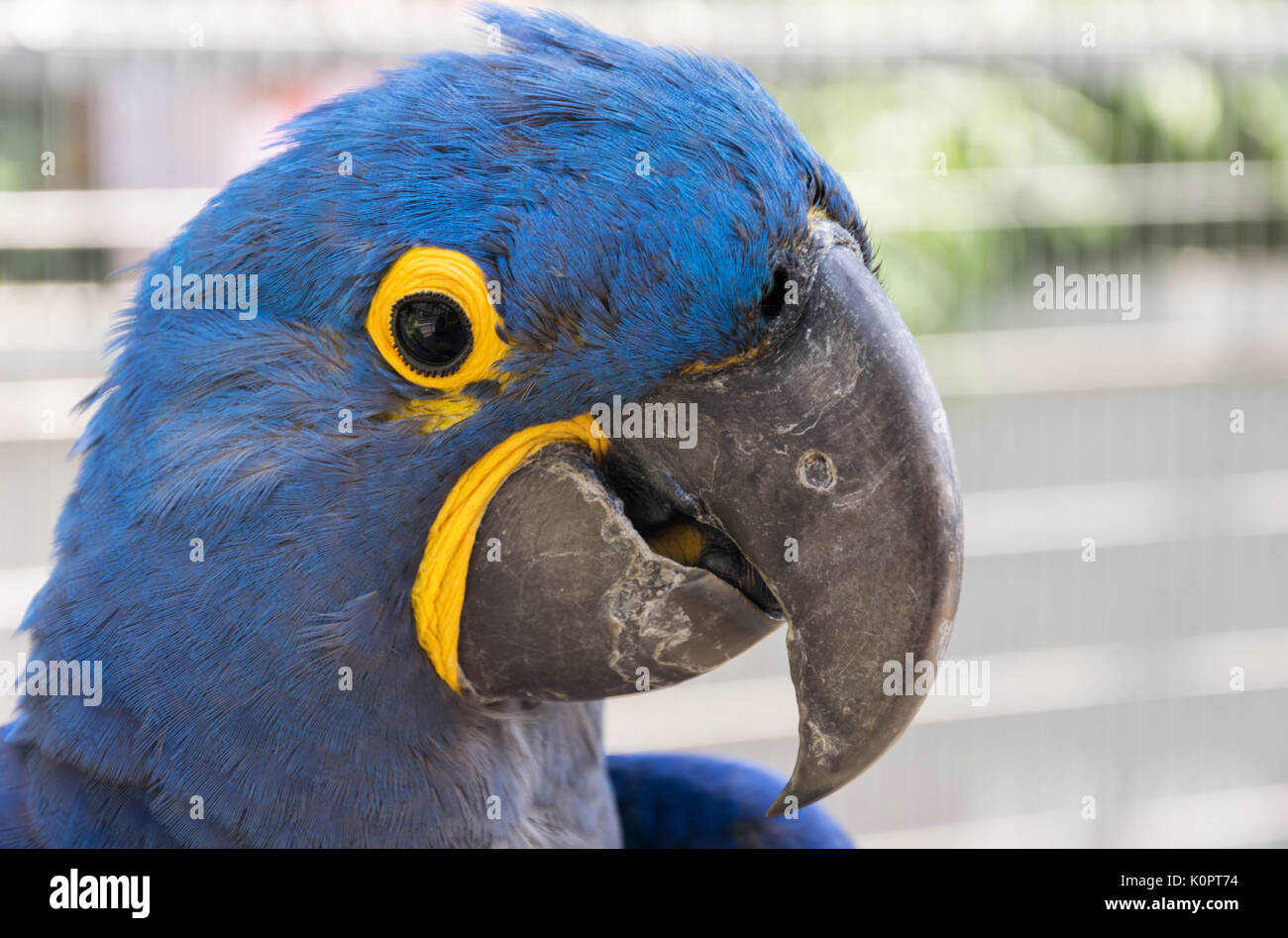 Eye friendly colors hi-res stock photography and images - Alamy