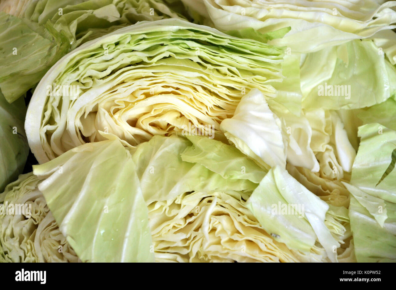 White cabbage is a variety of the cabbage. White cabbage is a winter ...