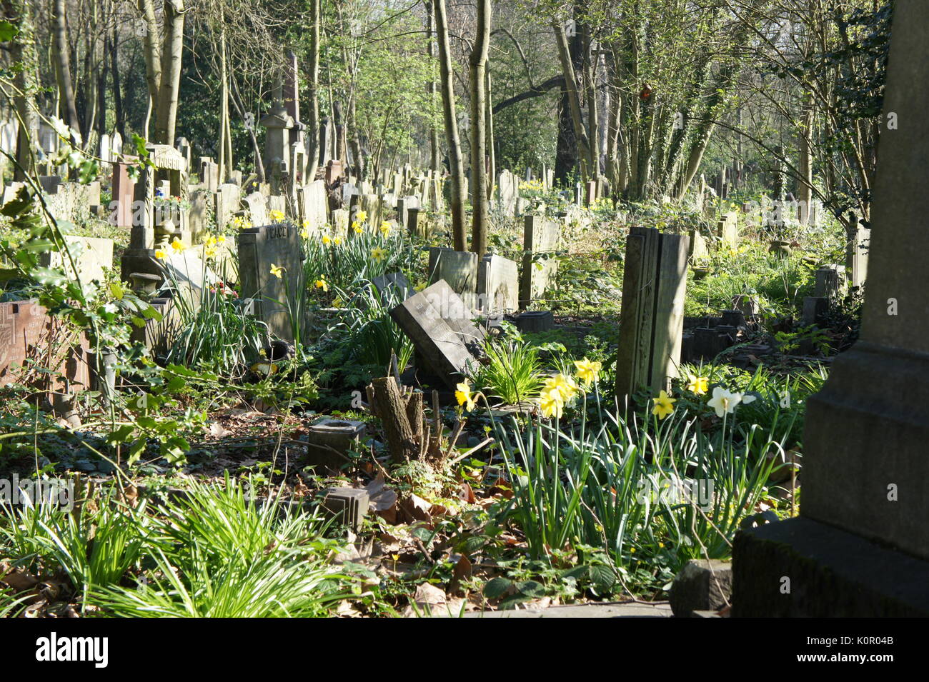Mile End Cemetery Stock Photo - Alamy