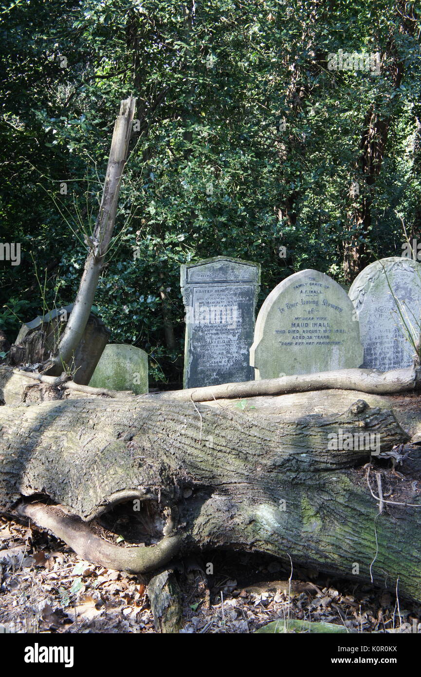 Mile End Cemetery Stock Photo - Alamy