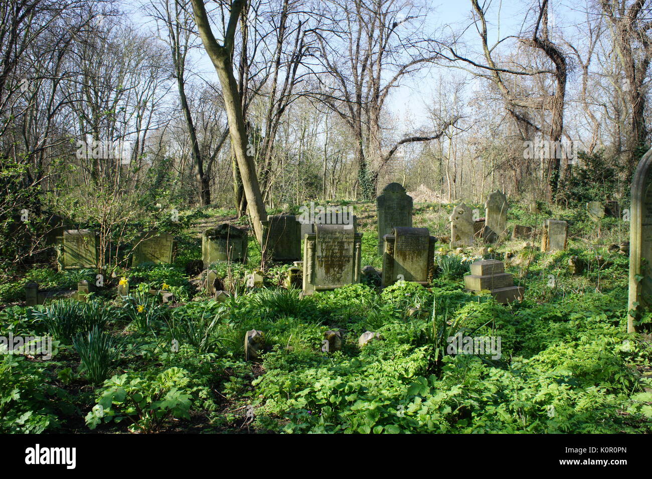 Green mile hi-res stock photography and images - Alamy