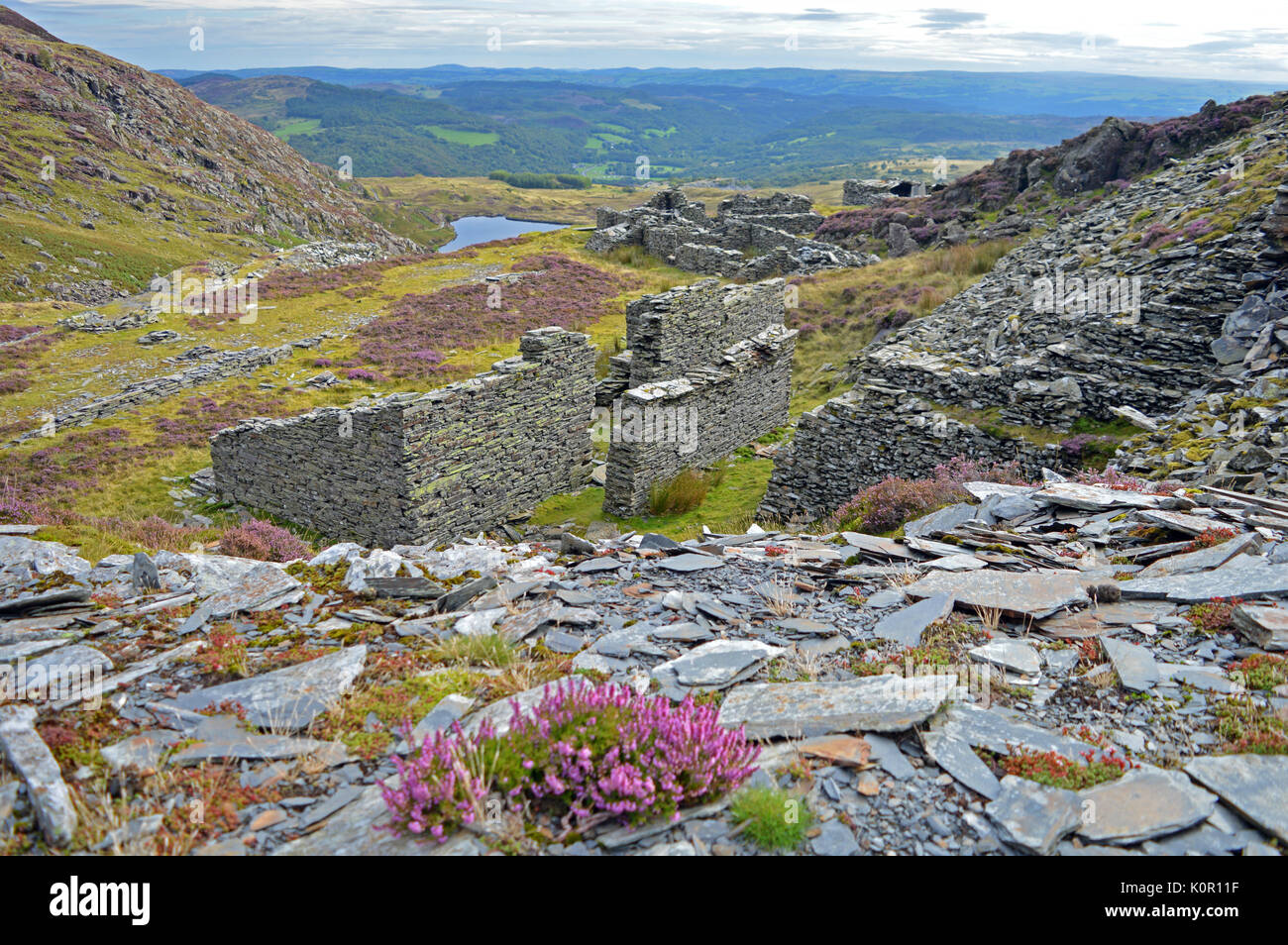 Moel Siabod walk Stock Photo - Alamy