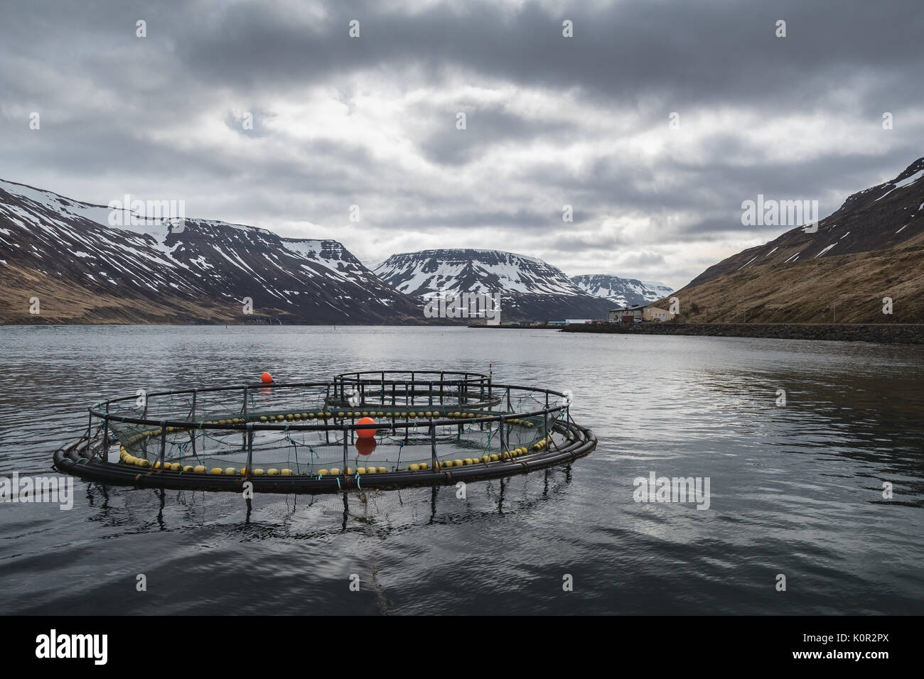 Iceland fish farm west fjord hi-res stock photography and images - Alamy