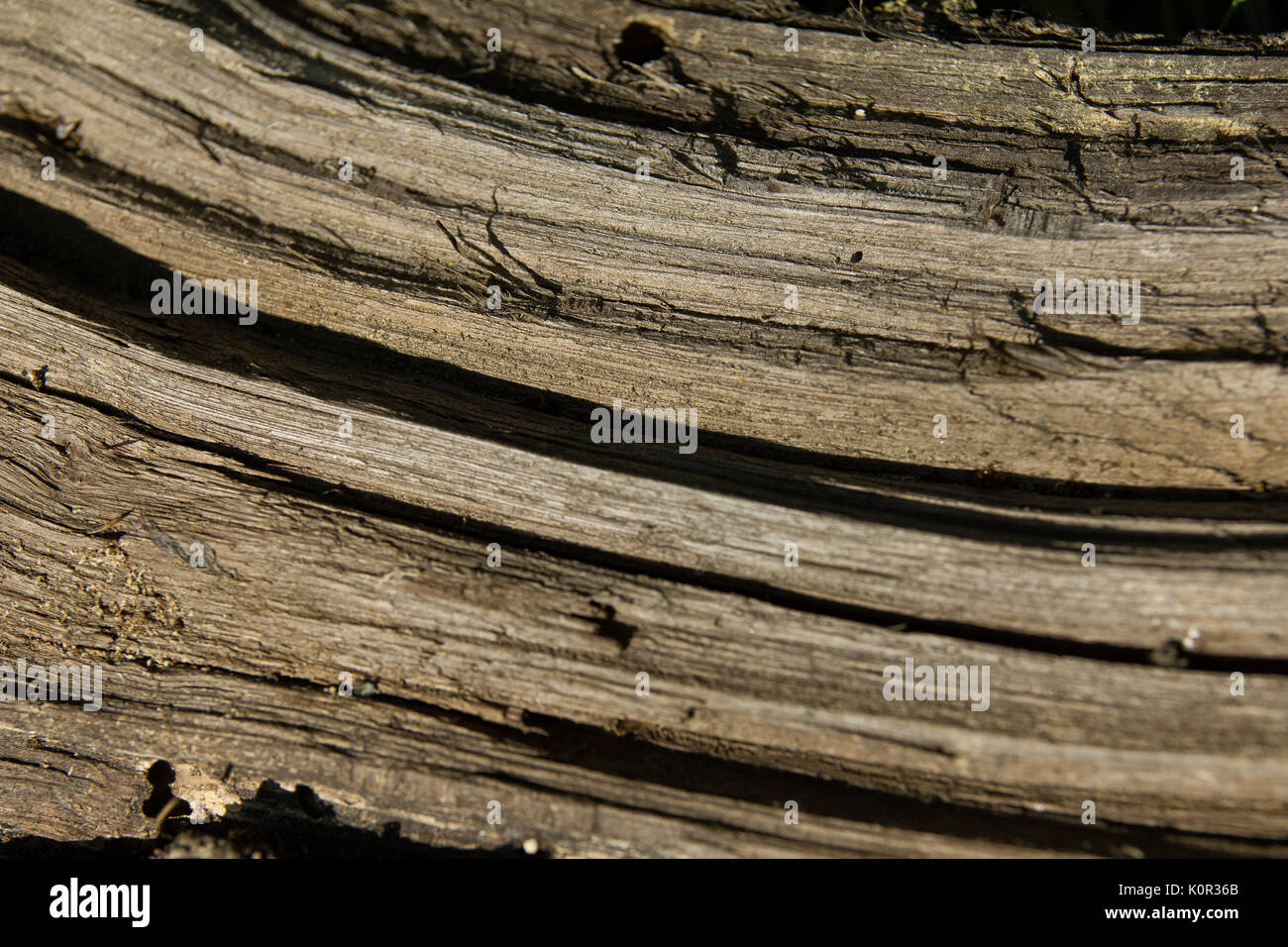 Dry boarding hi-res stock photography and images - Alamy