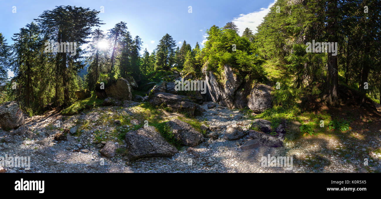 Panoramic view of a forest from Mount Bucegi on summer, part of the ...