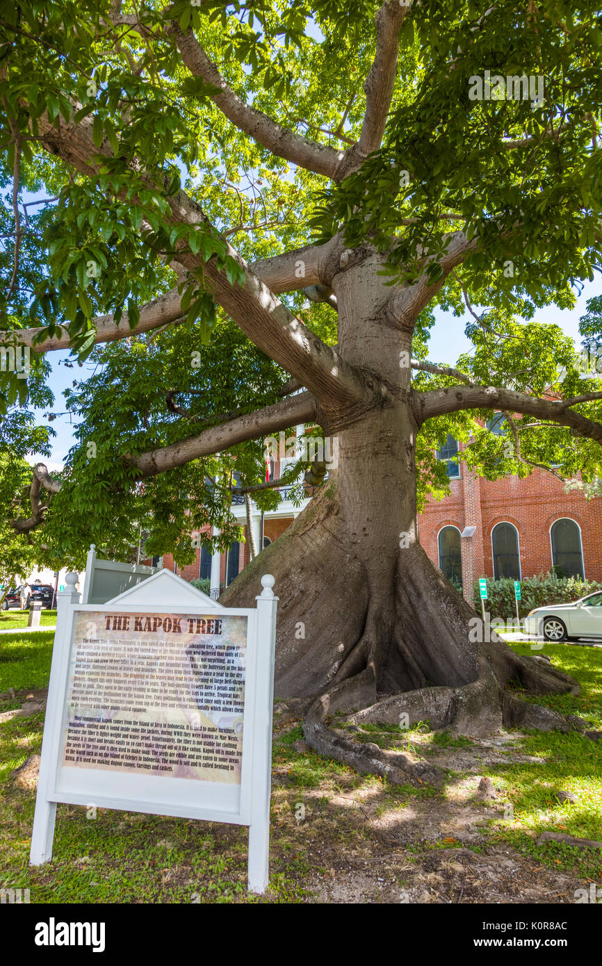 Florida west keys hi-res stock photography and images - Alamy