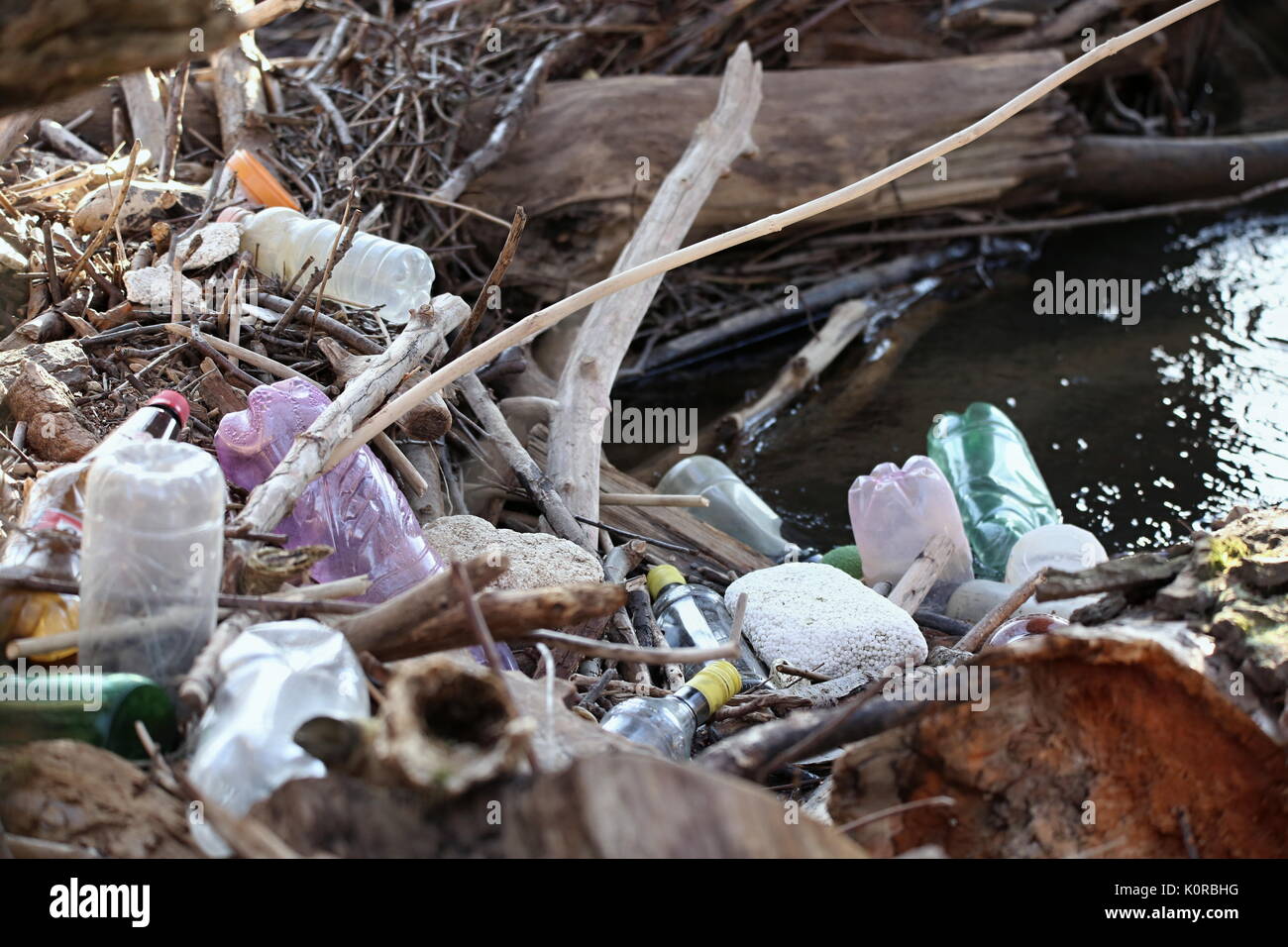 Nature pollution of plastic bottles. Polluted nature with plastic waste ...