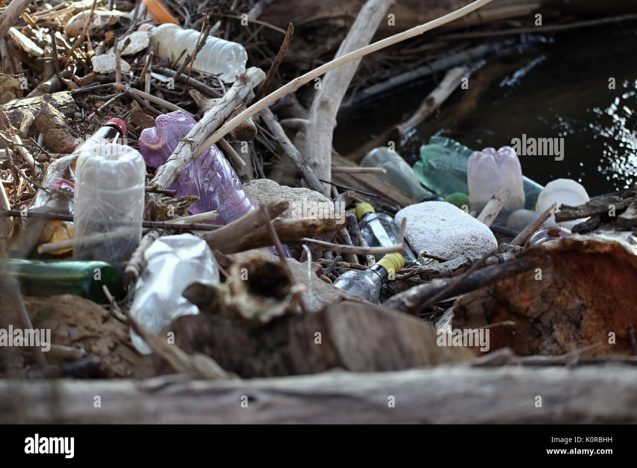 Nature pollution of plastic bottles. Polluted nature with plastic waste ...