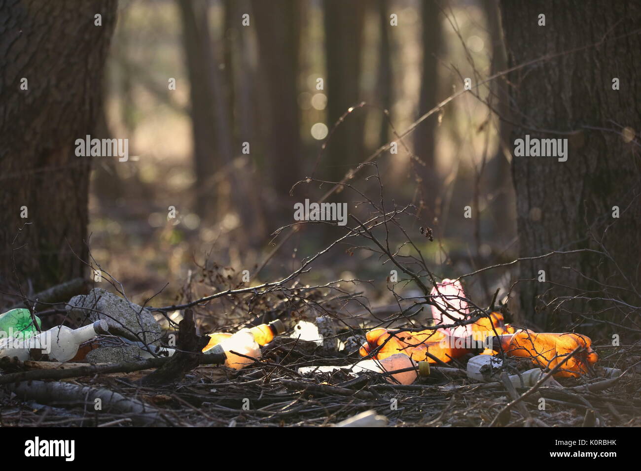 Nature pollution of plastic bottles. Polluted nature with plastic waste ...