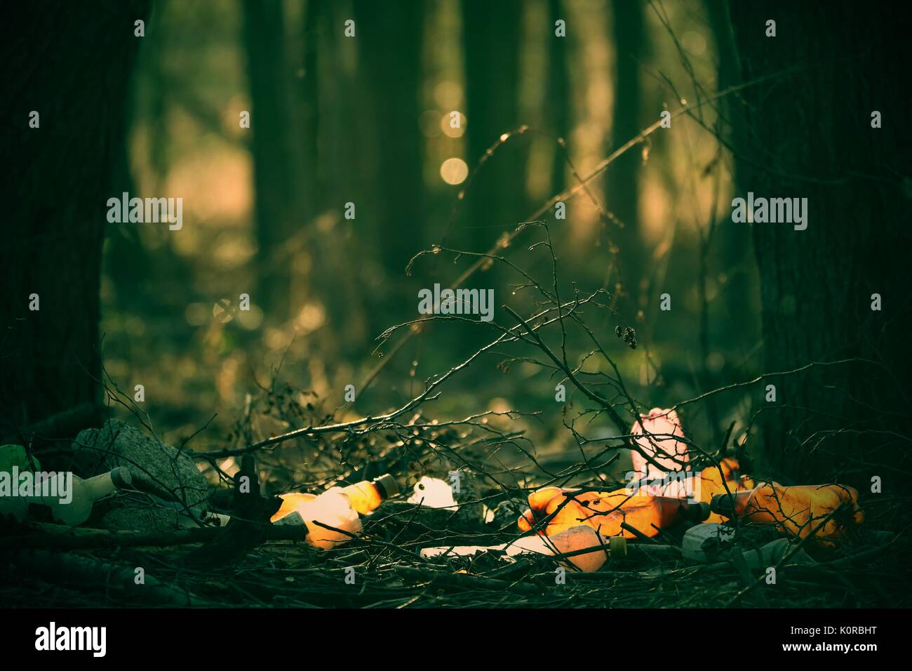 Nature pollution of plastic bottles. Polluted nature with plastic waste ...