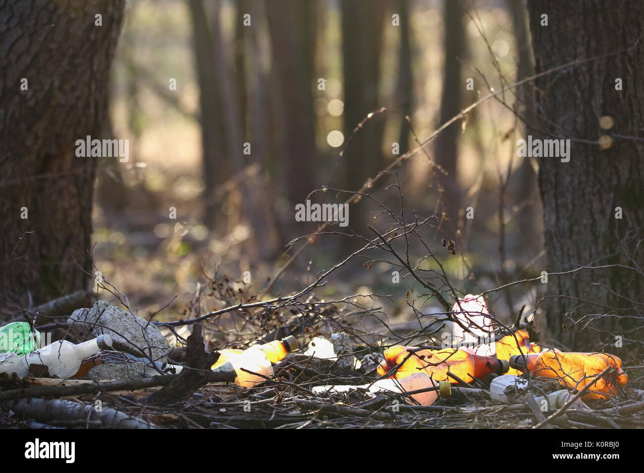 Nature pollution of plastic bottles. Polluted nature with plastic waste ...