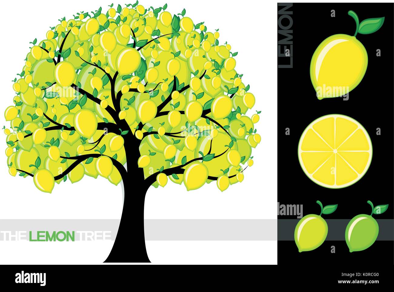 Illustration of a cartoon lemon tree isolated on white background, very ...
